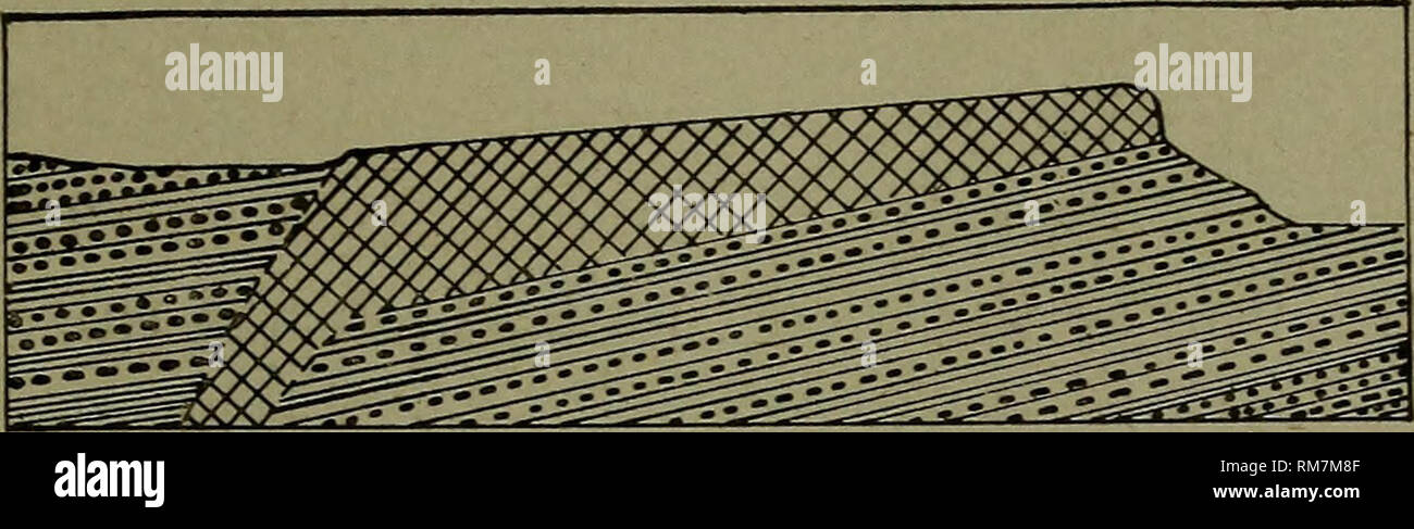 Trap cross section hi-res stock photography and images - Alamy