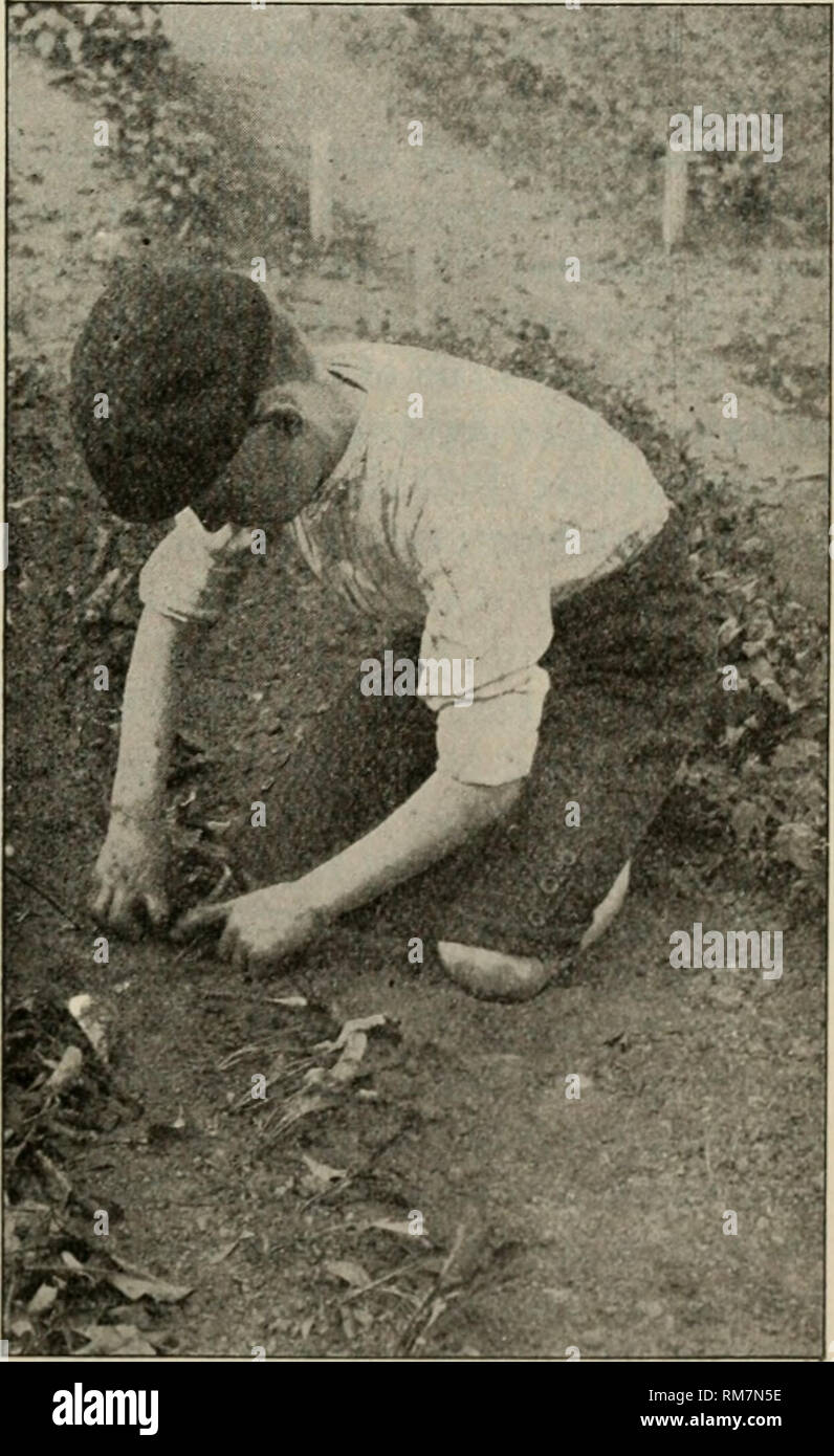 Sandy subsoil hi-res stock photography and images - Alamy