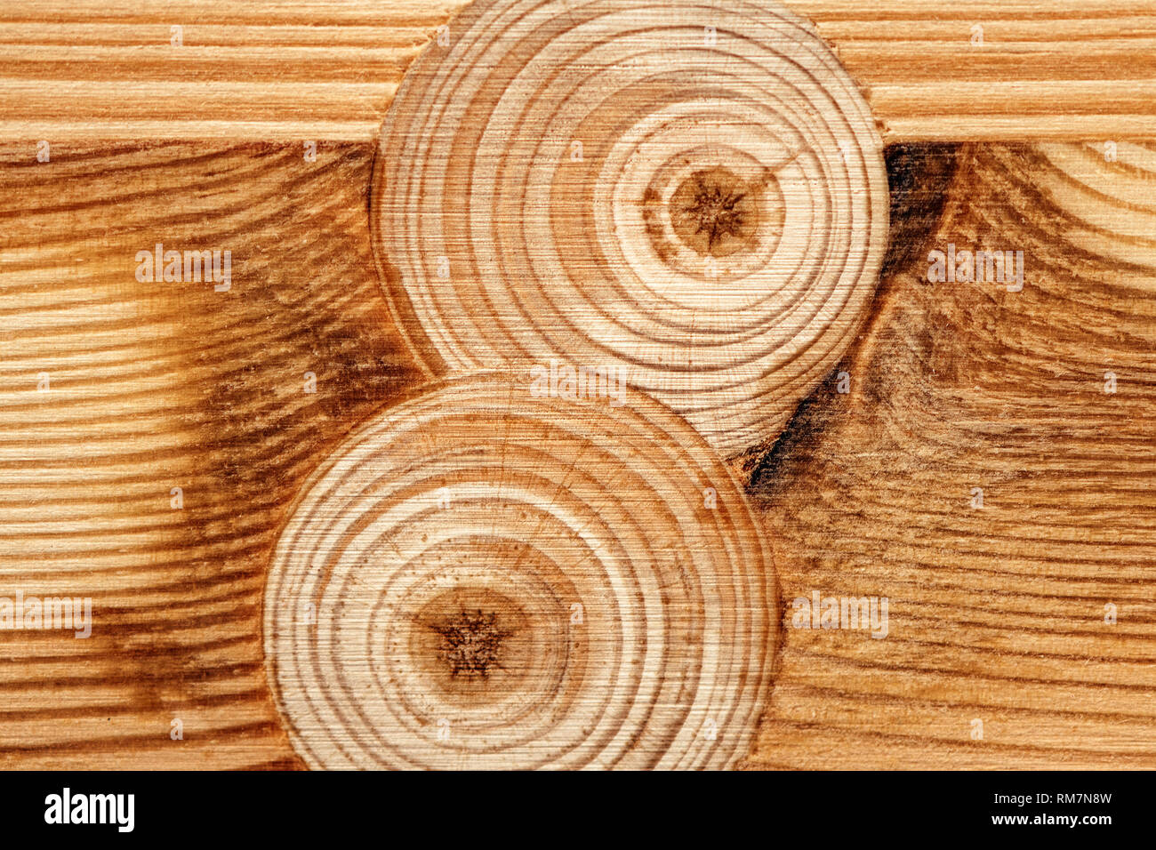 Texture of nice pine wood floorboard plank with knots repaired with ...