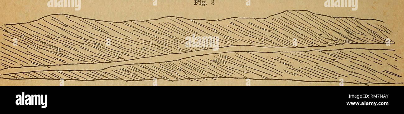 Quartz and orthoclase hi-res stock photography and images - Alamy