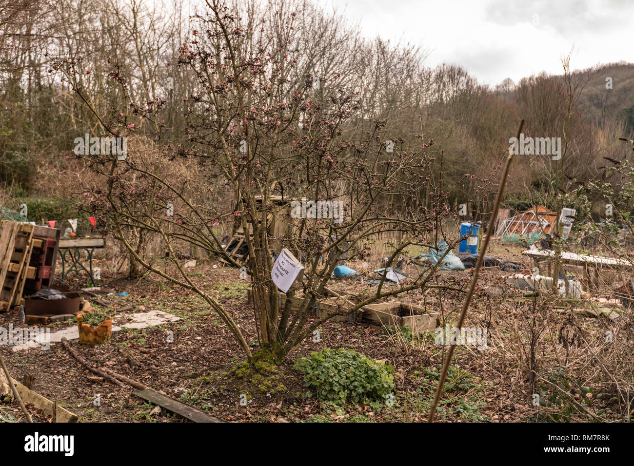 allotment with no pesticide sign Stock Photo - Alamy