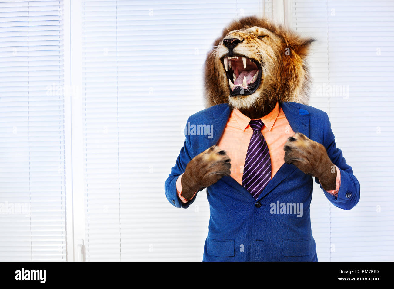 Predator angry boss concept man with lion head Stock Photo - Alamy