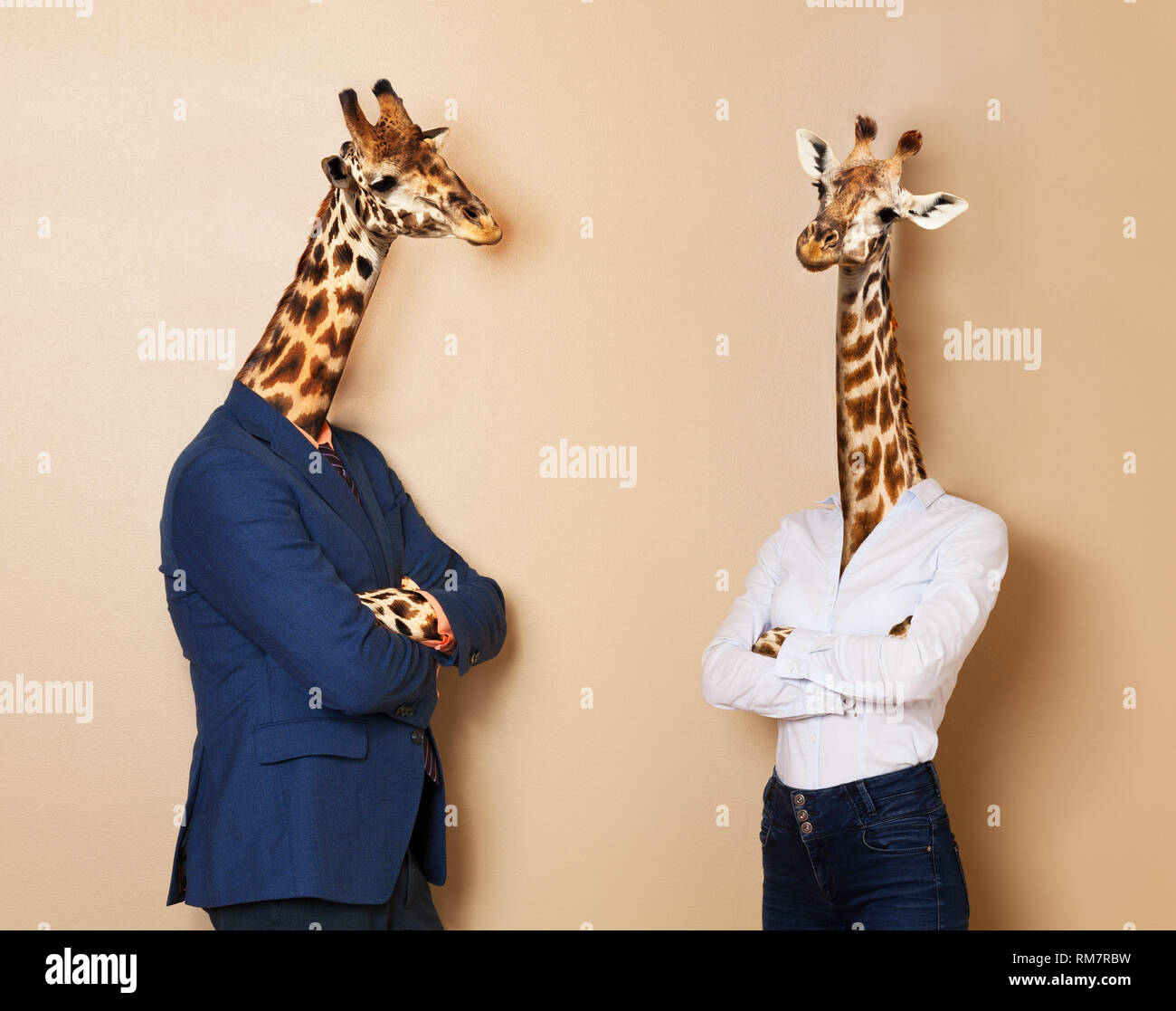 Human neck giraffe hi-res stock photography and images - Alamy