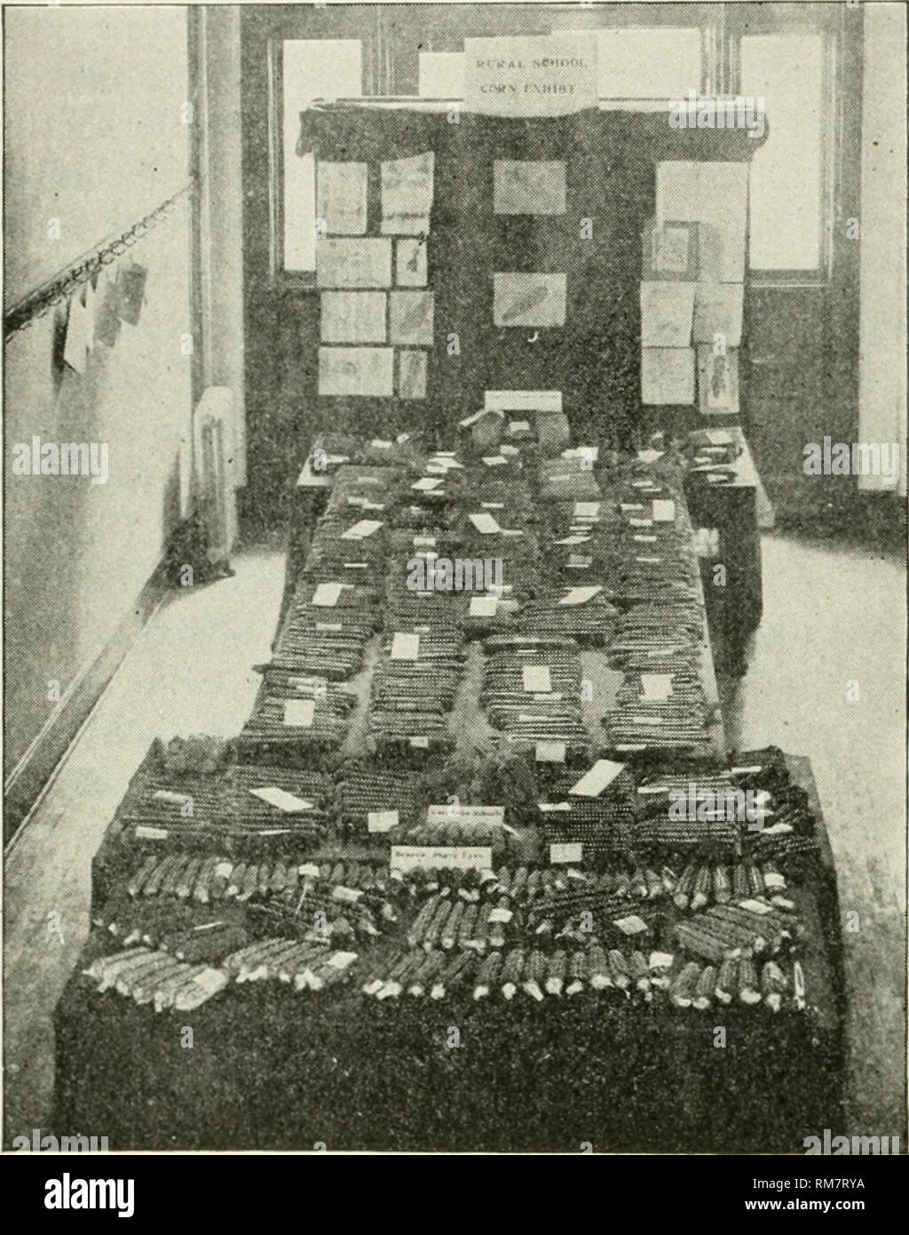 Fodder shock hi-res stock photography and images - Alamy