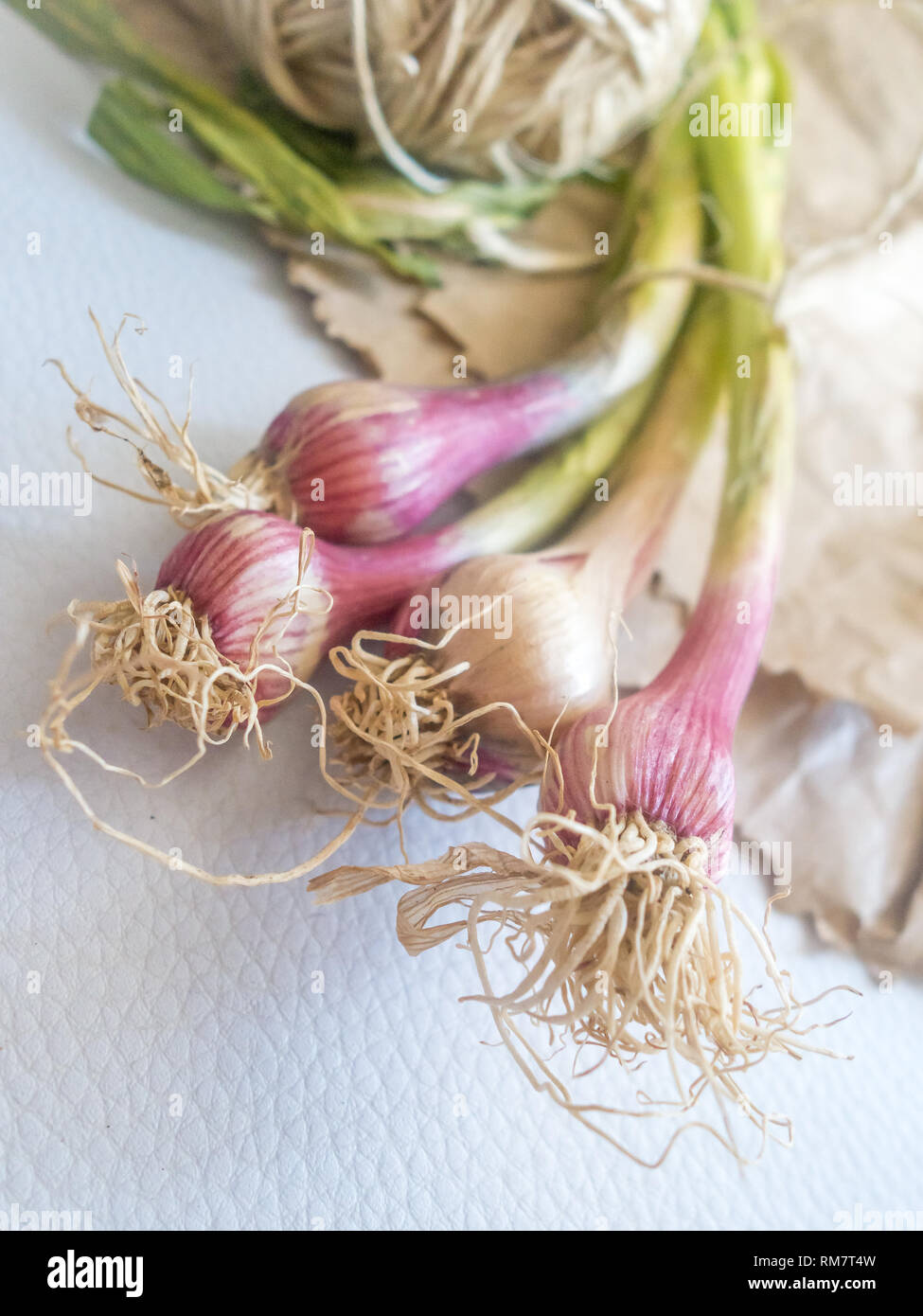 Purple scallion hi-res stock photography and images - Alamy