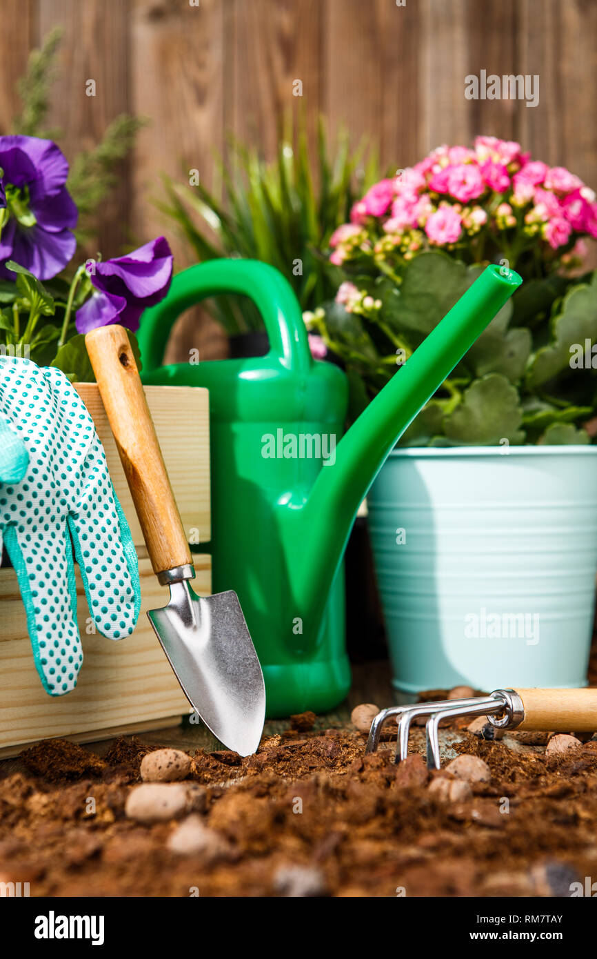 Gardening tools and flowers Stock Photo - Alamy
