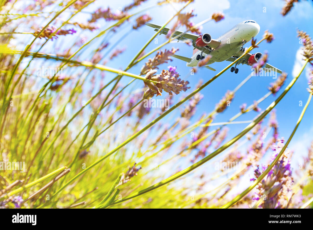 Airplane flying over blooming hi-res stock photography and images - Alamy