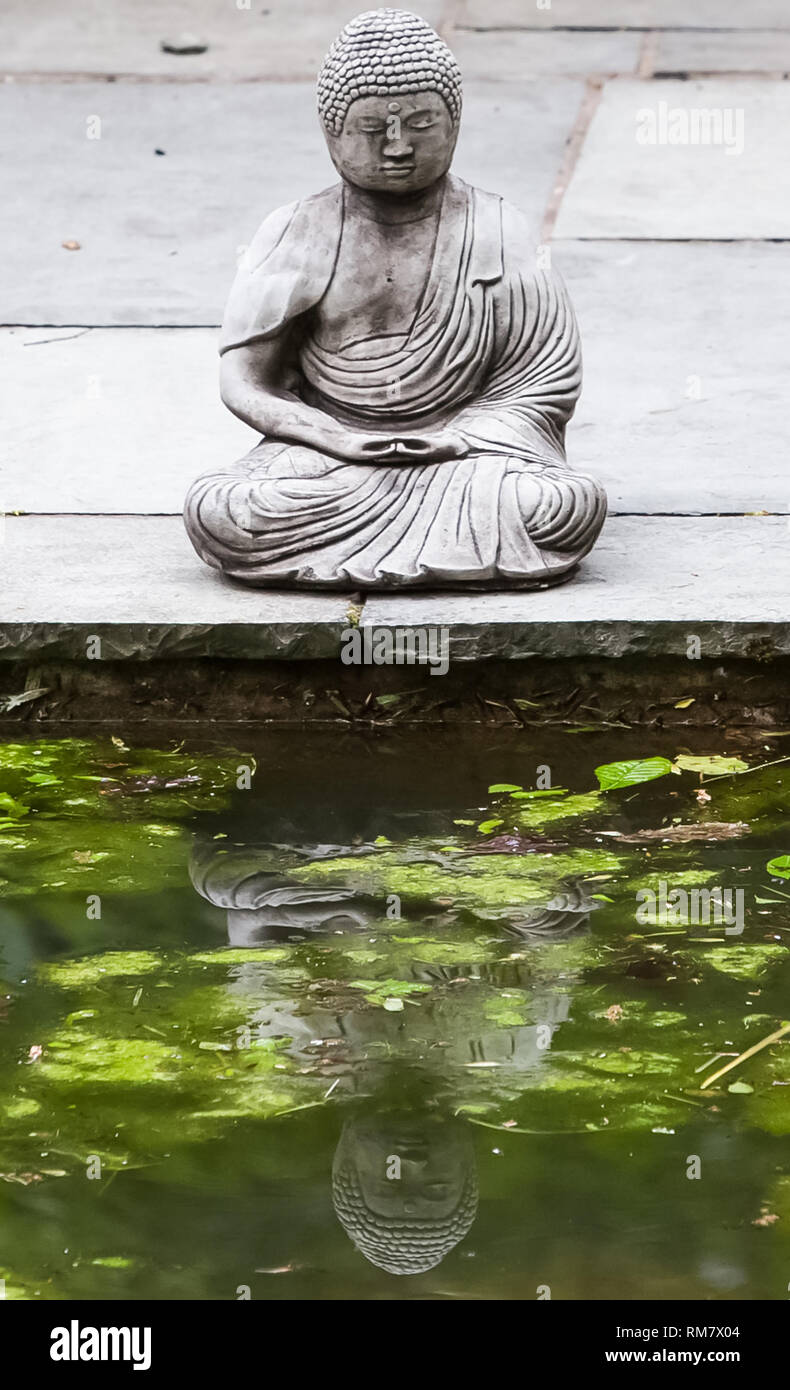 Buddha statue praying by the water. Religious Symbolism of Buddhism ...