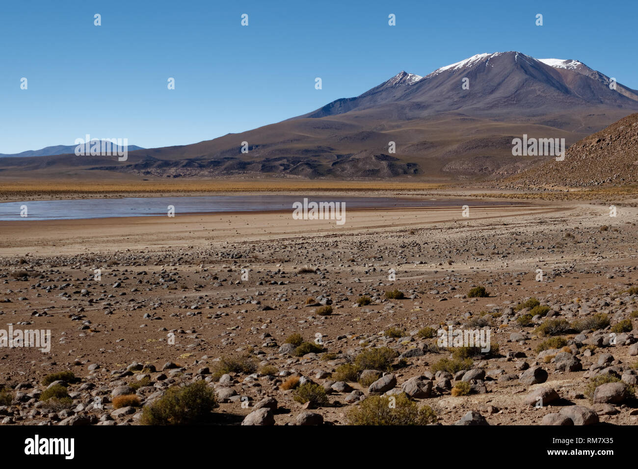 Altiplano region in southern Bolivia Stock Photo - Alamy