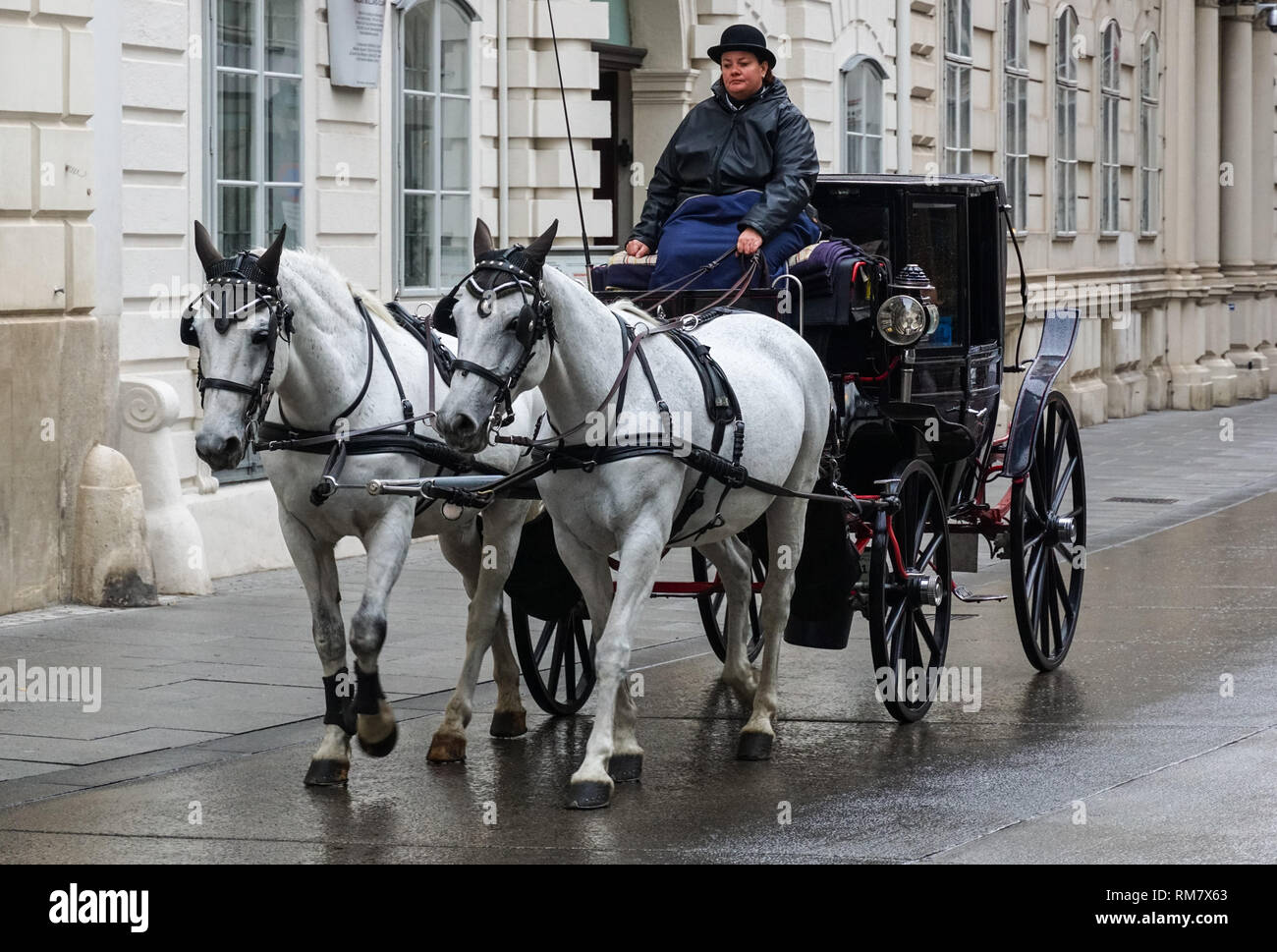Horse drawn carriage in Vienna, Austria Stock Photo - Alamy