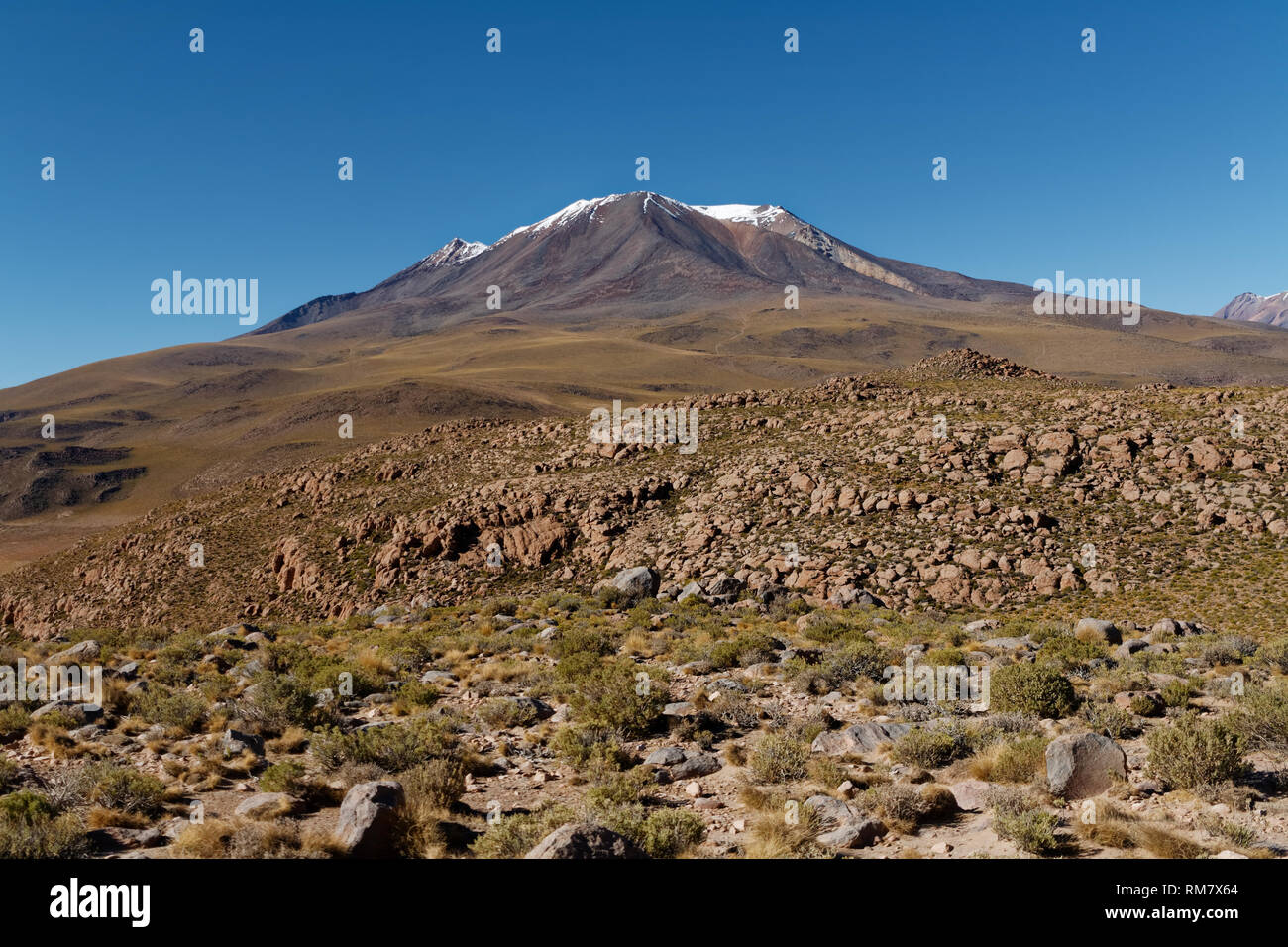 Altiplano region in southern Bolivia Stock Photo - Alamy