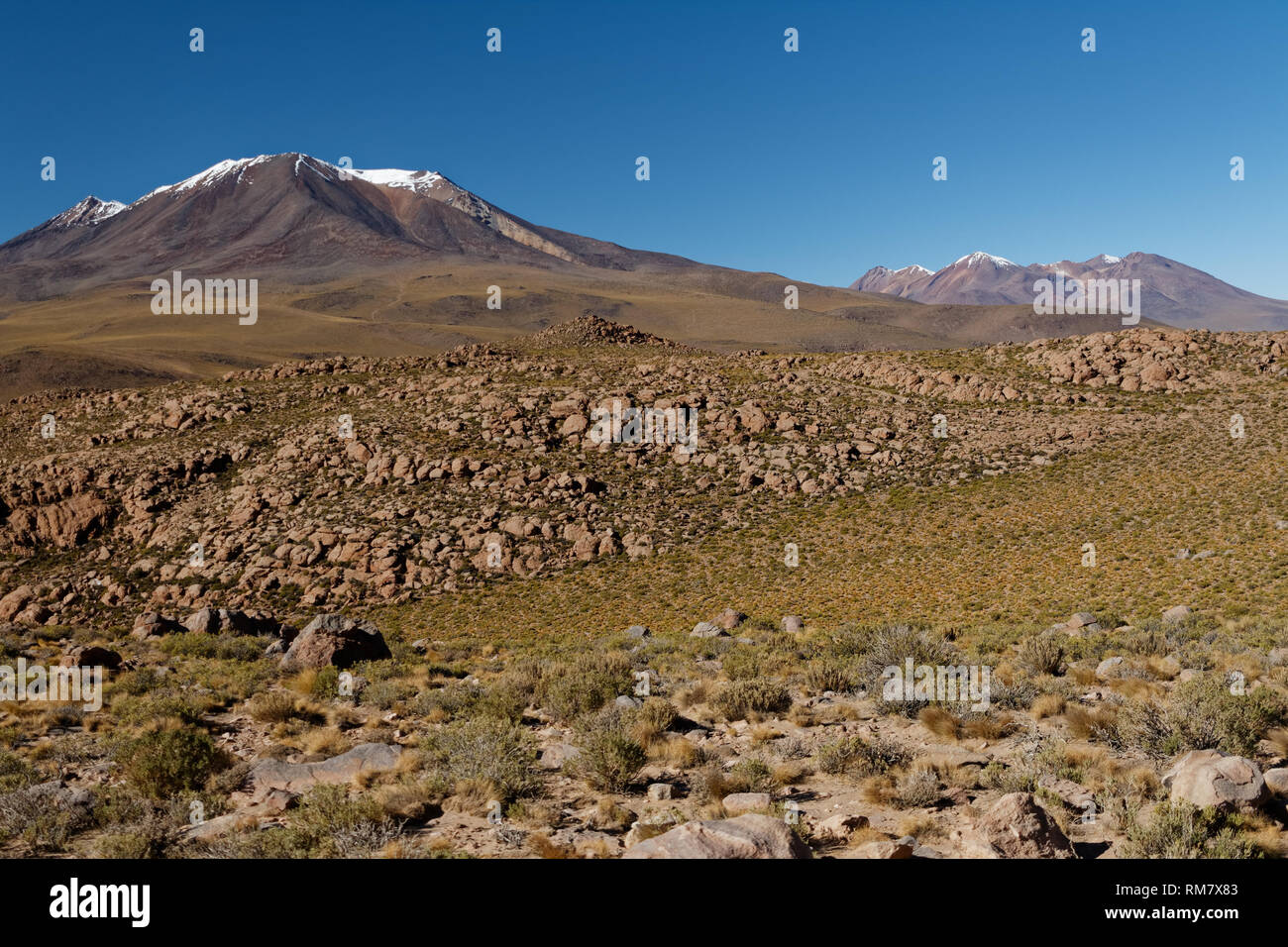 Altiplano region in southern Bolivia Stock Photo - Alamy