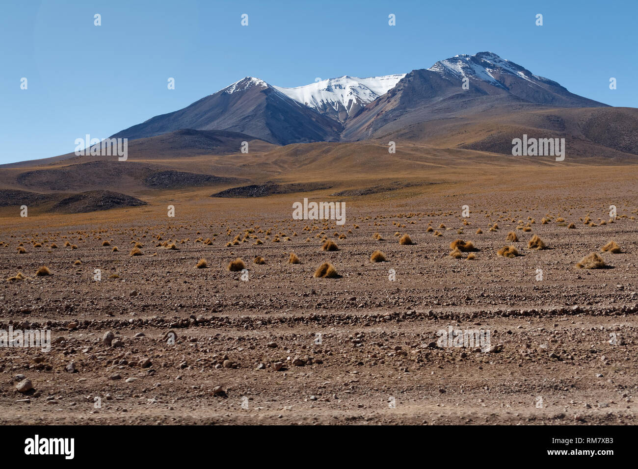 Altiplano region in southern Bolivia Stock Photo - Alamy