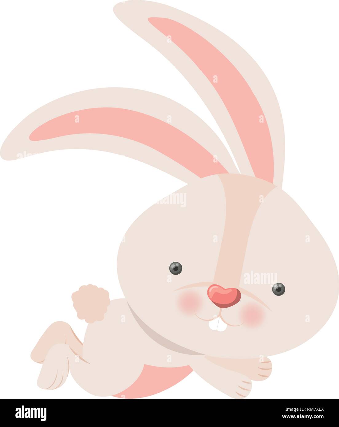 cute rabbit isolated icon Stock Vector Image & Art - Alamy