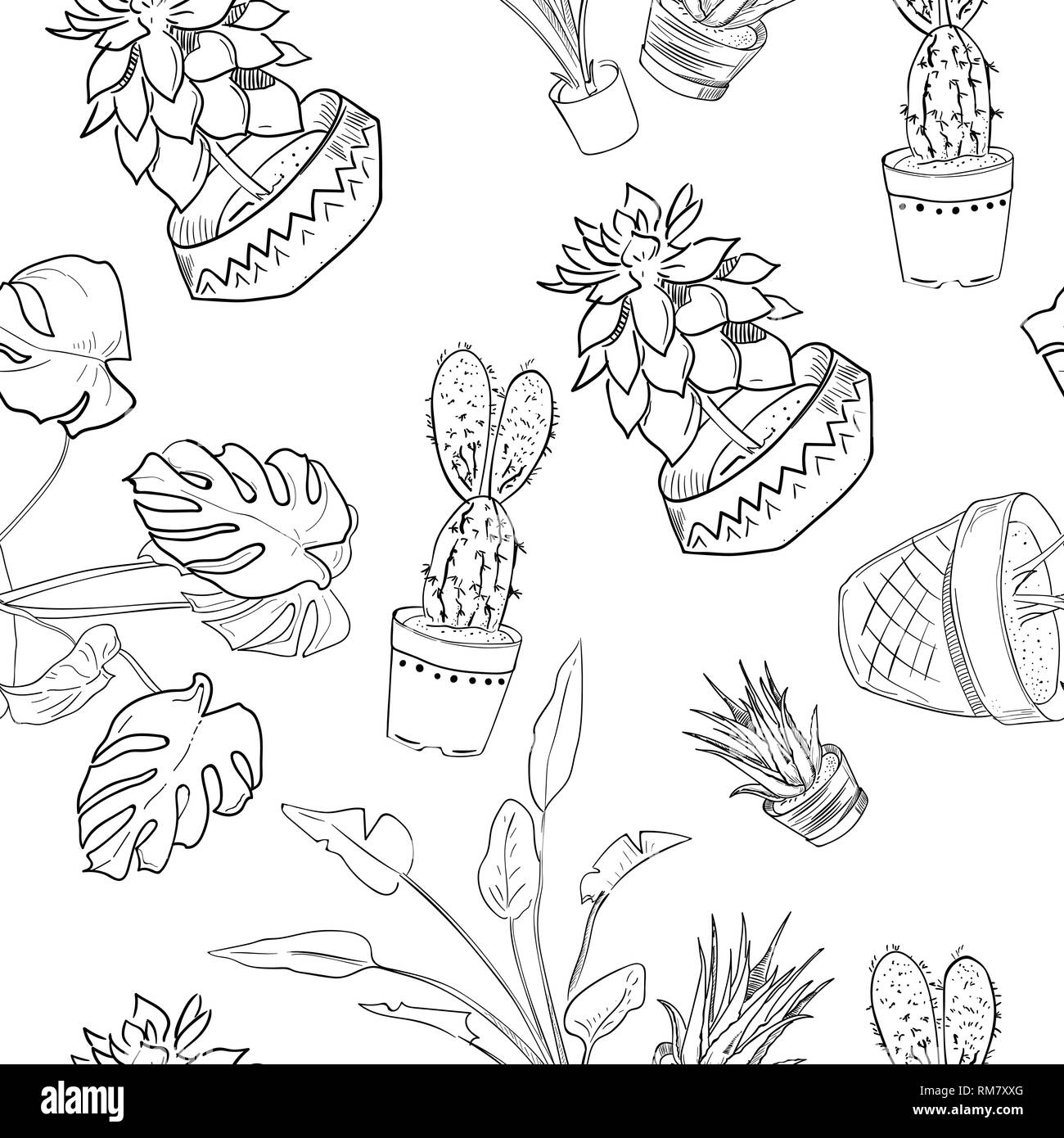 Houseplants vector pattern of hand drawing. Vector illustration, EPS 10 ...