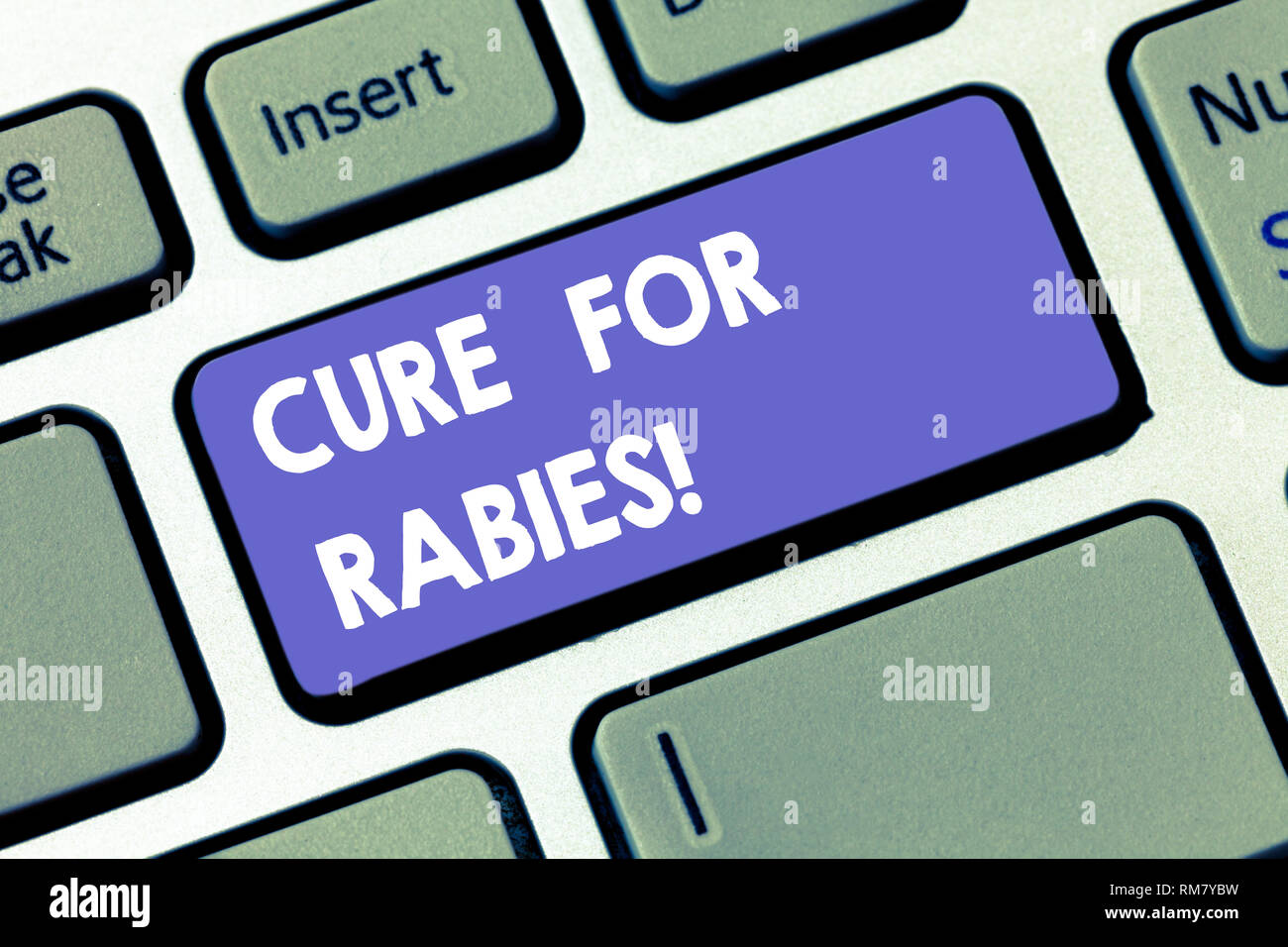 Writing note showing Cure For Rabies. Business photo showcasing ...