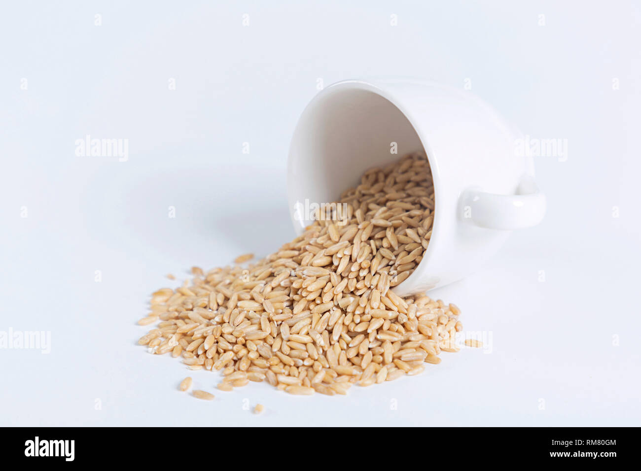 Healthy ingredients concept, lots of grains close-up isolated photo 003 ...