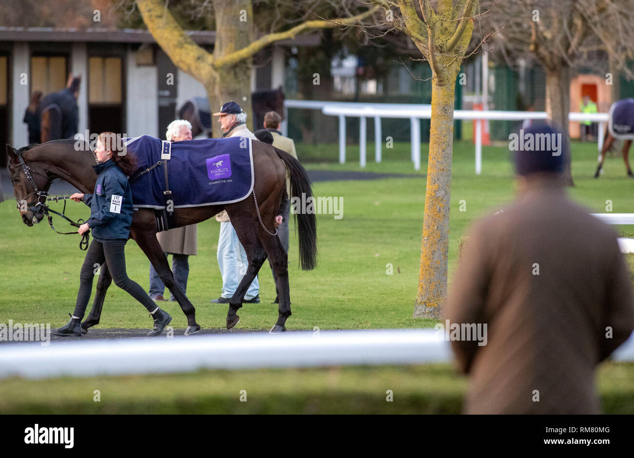 The parade ring at kempton park racecourse hi-res stock photography and ...