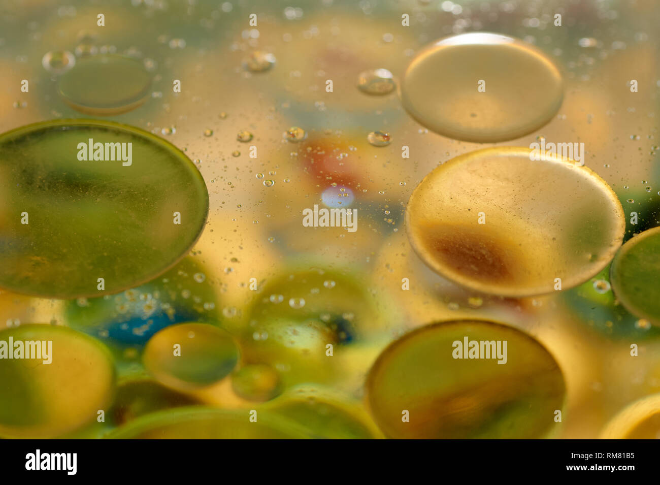 floating in the water abstract colorful, yellow oil drops Stock Photo ...