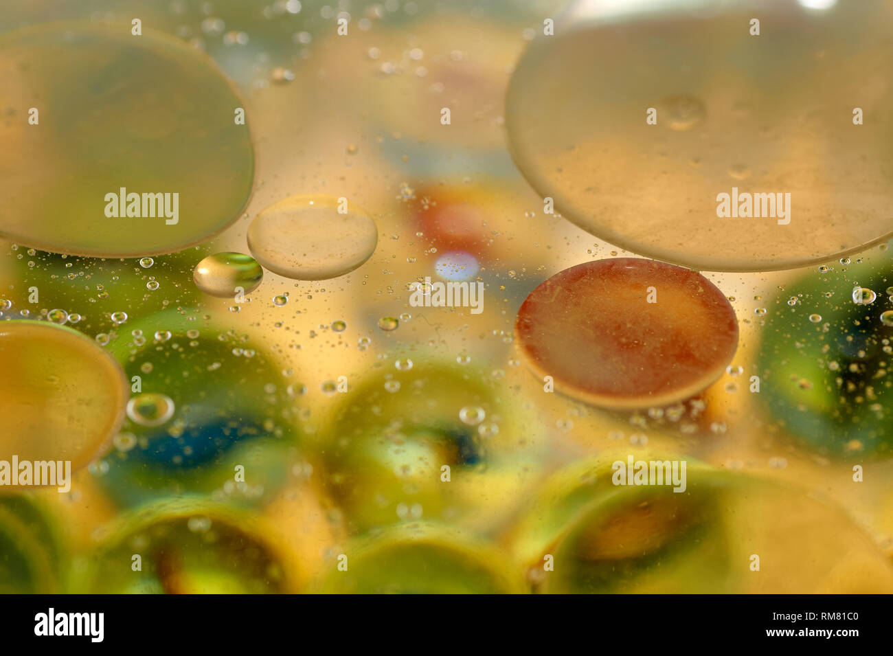 floating in the water abstract colorful, yellow oil drops Stock Photo ...