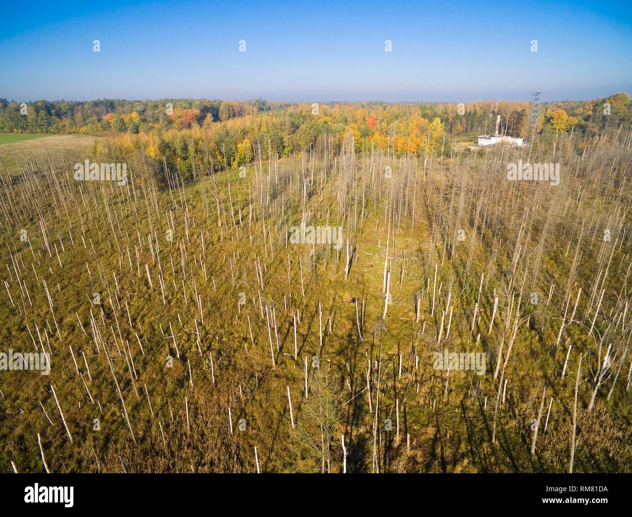 Aerial view of observation tower located on terrain of German Land ...