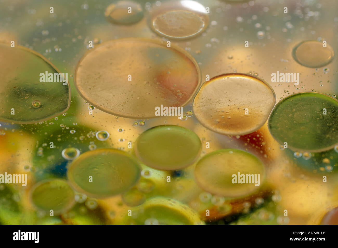 floating in the water abstract colorful, yellow oil drops Stock Photo ...