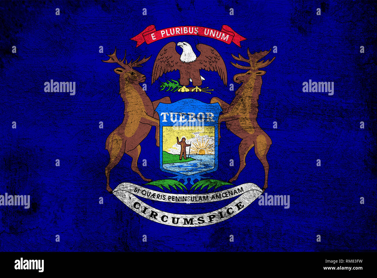 Grunge michigan state flag hi-res stock photography and images - Alamy
