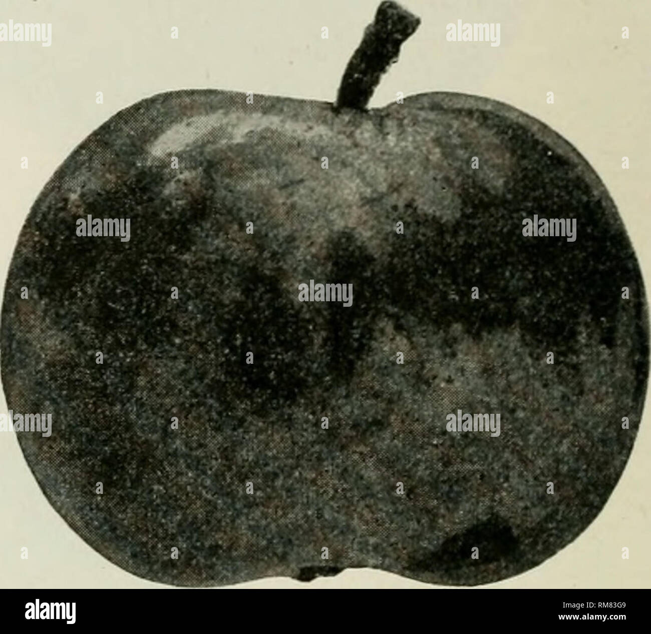 Broken Apple Skin High Resolution Stock Photography and Images - Alamy