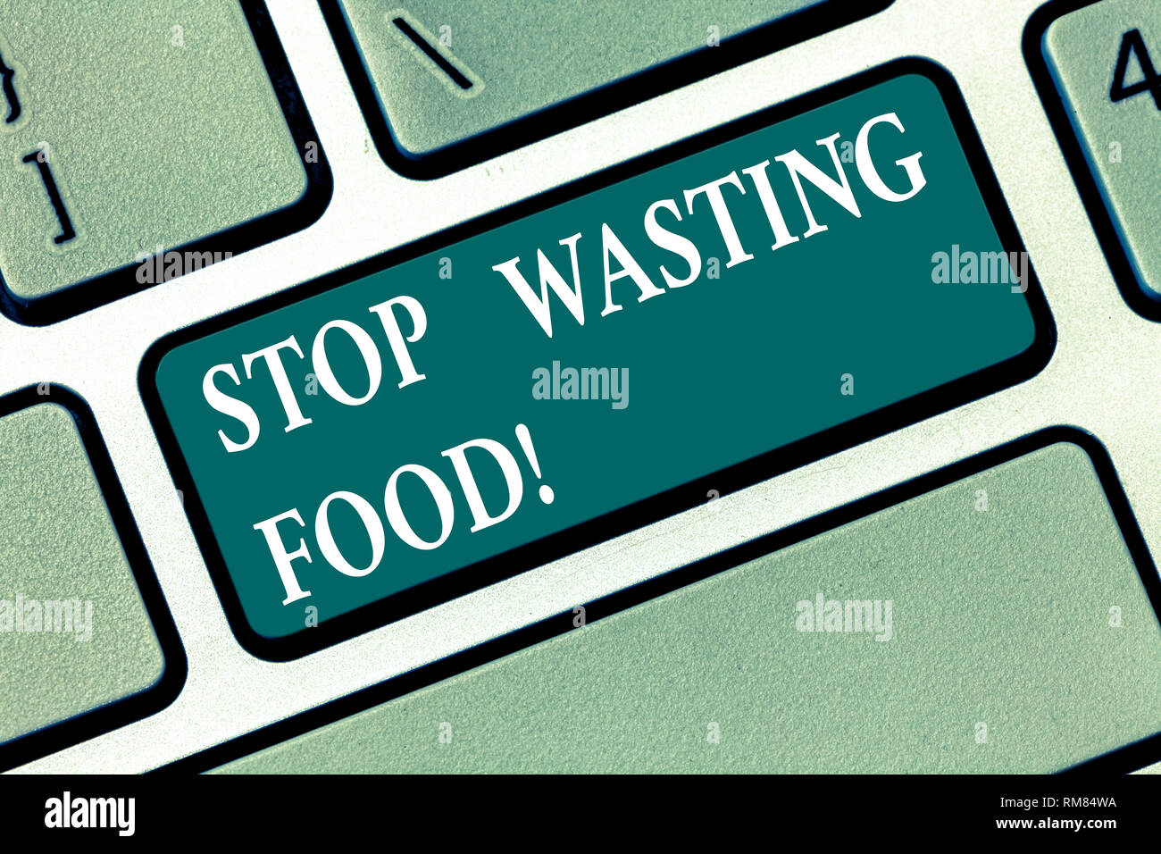 Writing note showing Stop Wasting Food. Business photo showcasing ...