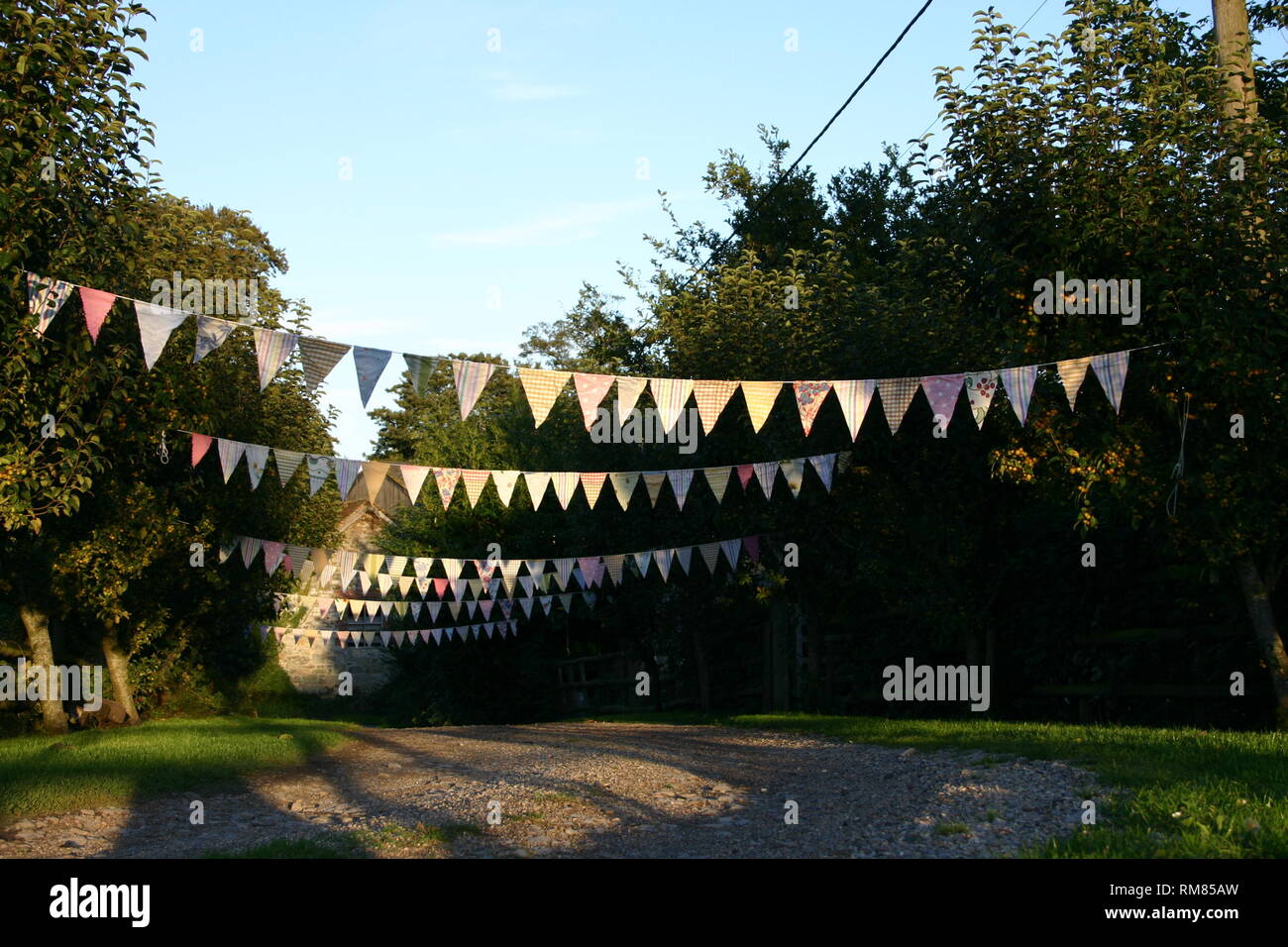 Bunting on trees hi-res stock photography and images - Alamy