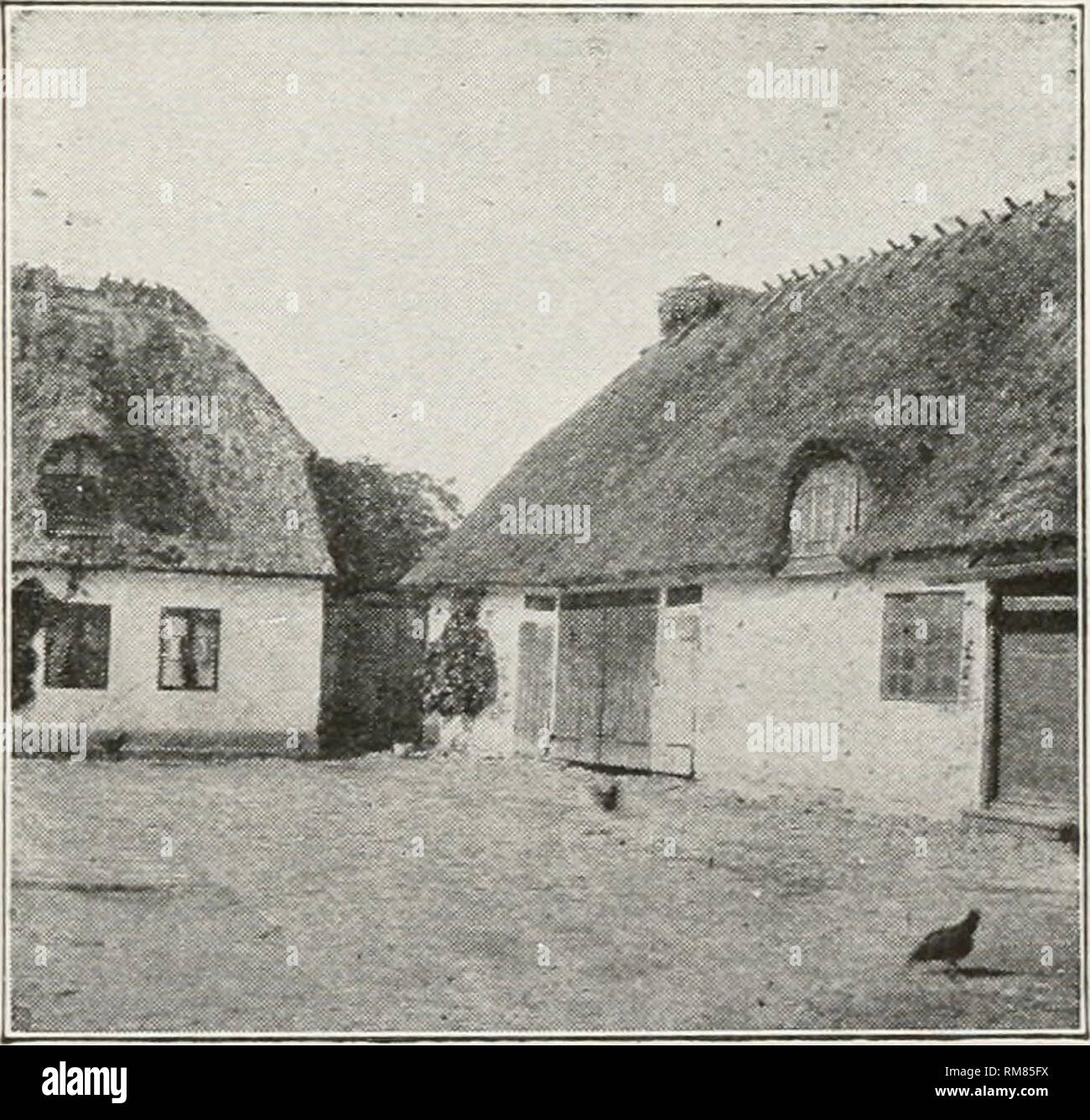 Stone pig sty hi-res stock photography and images - Alamy