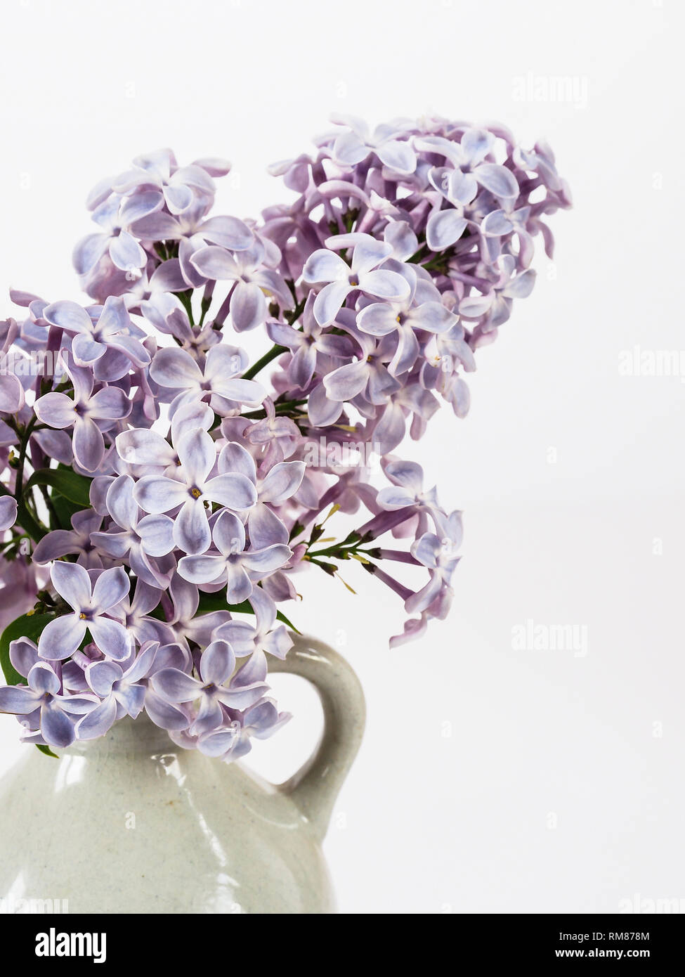 Spring table decoration lilac hi-res stock photography and images - Alamy