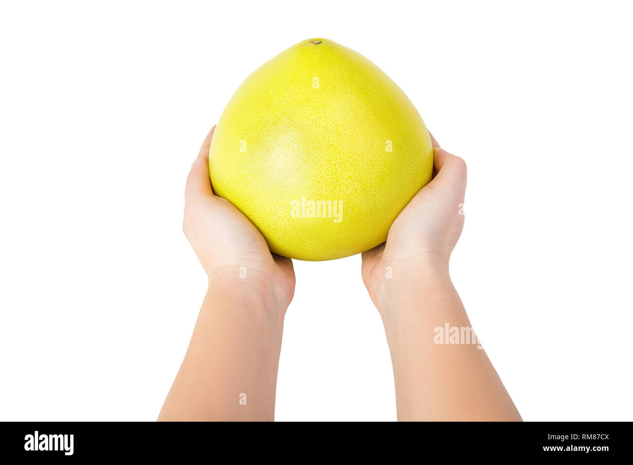 hands holding whole ripe juicy pomelo citrus fruit isolated on white ...