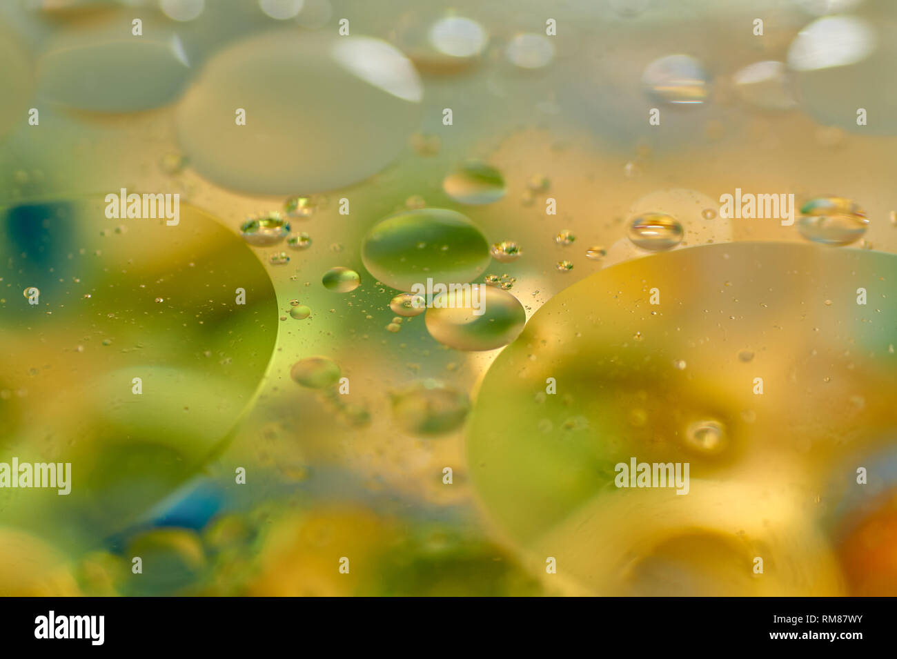 floating in the water abstract colorful, yellow oil drops Stock Photo ...