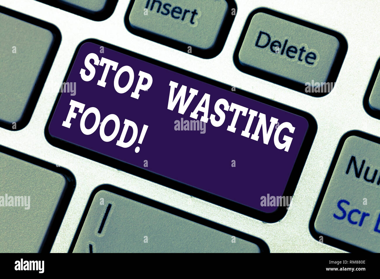 Text sign showing Stop Wasting Food. Conceptual photo organization ...