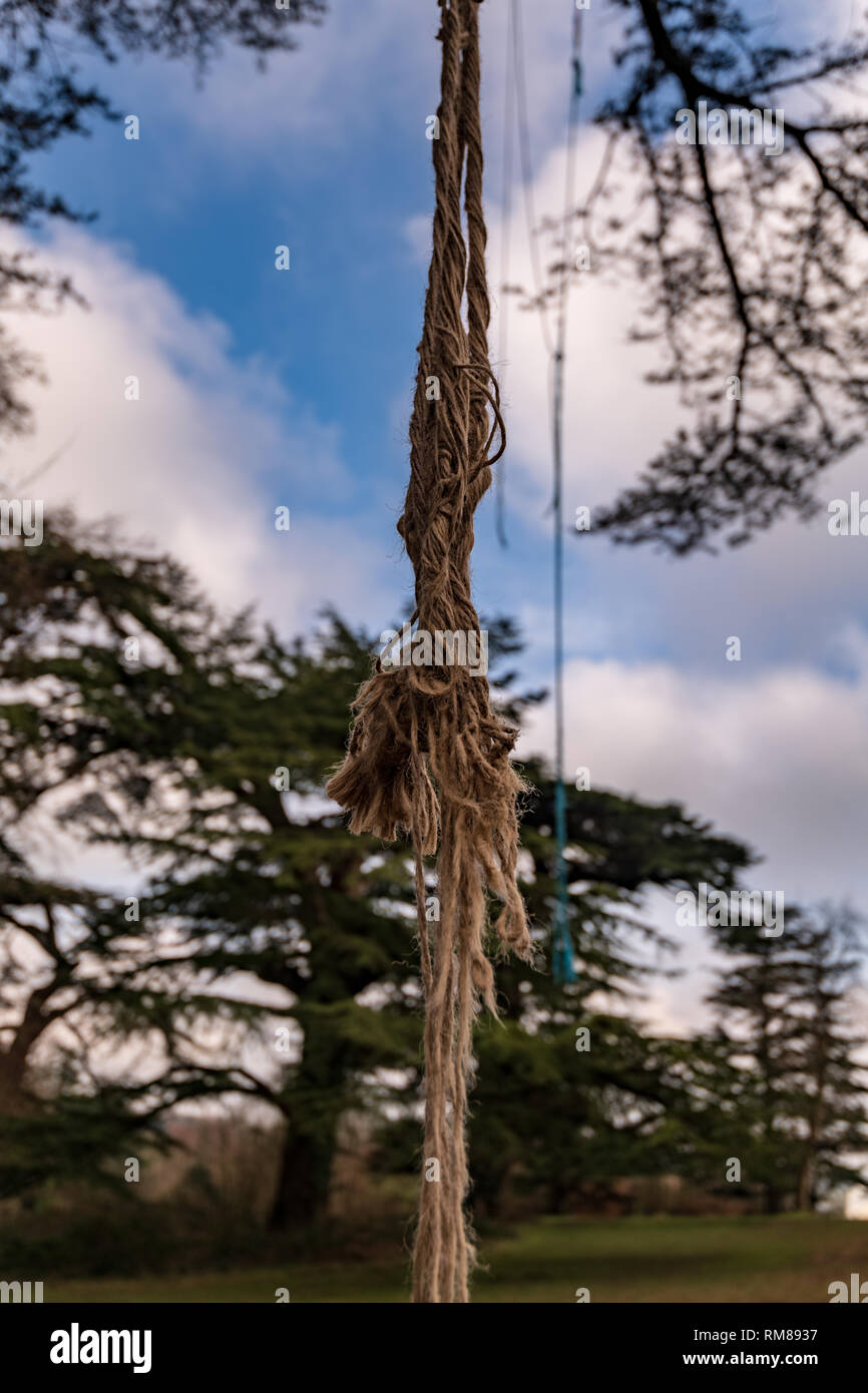 swing rope attached to tree Stock Photo - Alamy