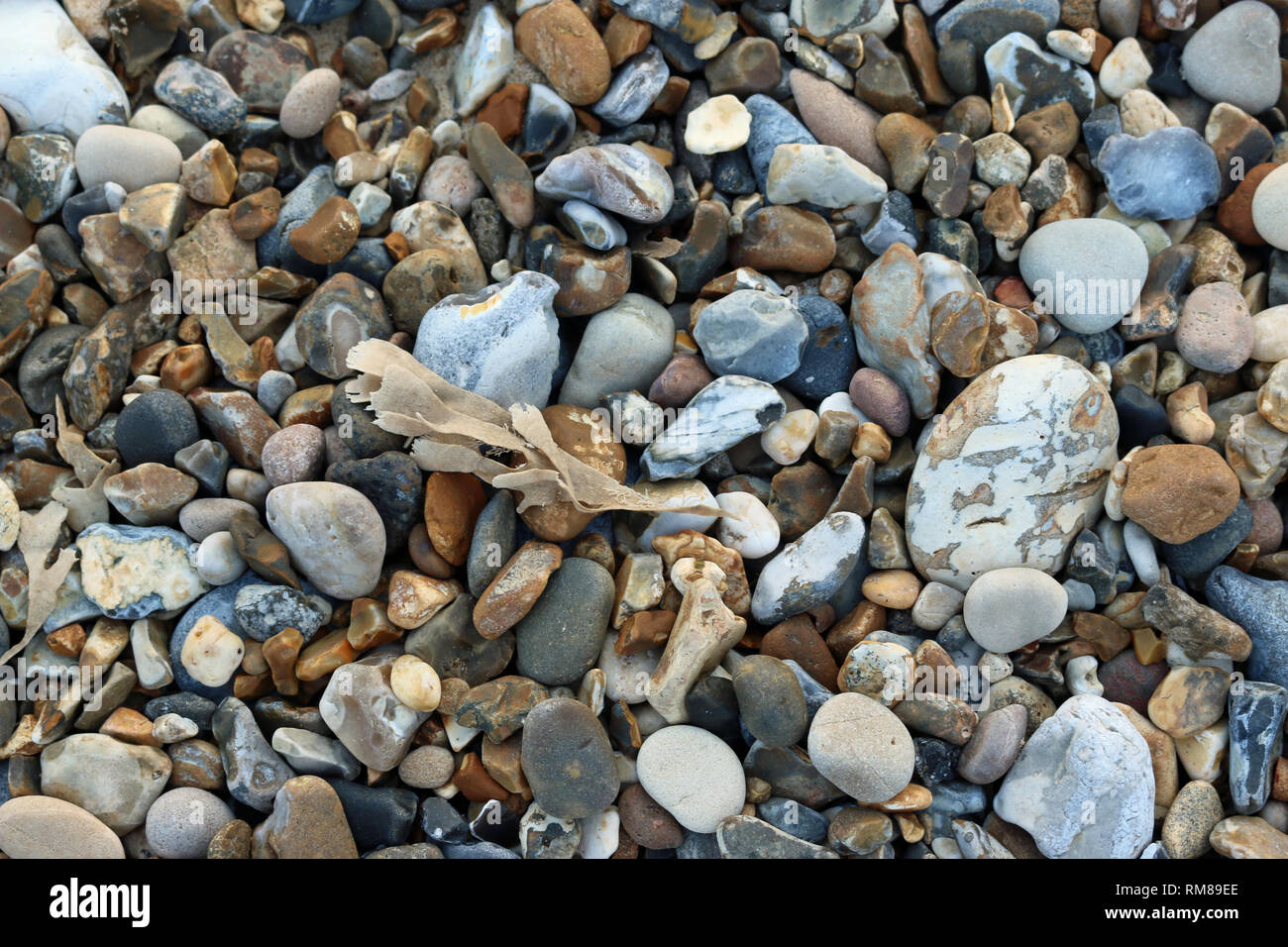 Pebbles of various shapes, sizes and colours with a small piece of ...