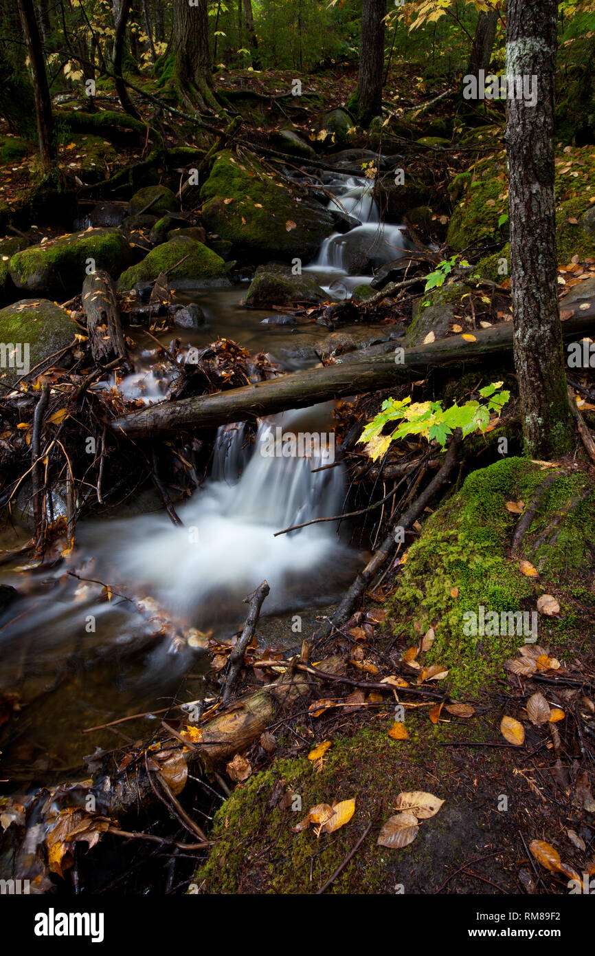 Aaasmgmenh hi-res stock photography and images - Alamy