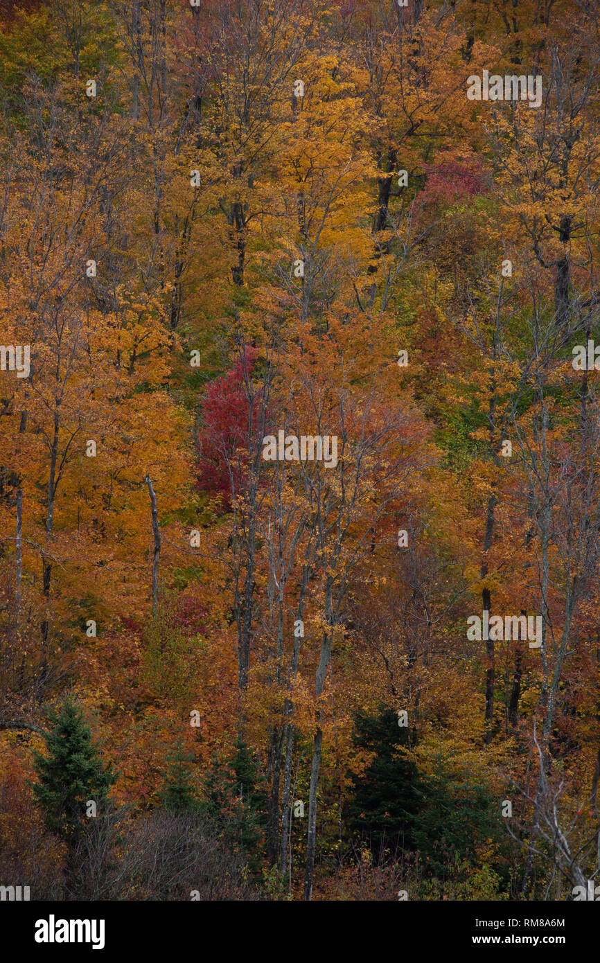 Jackman maine hi-res stock photography and images - Alamy