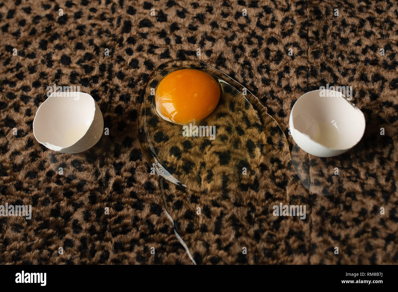 broken egg with yolk, protein and shell on leopard skin with reflection ...