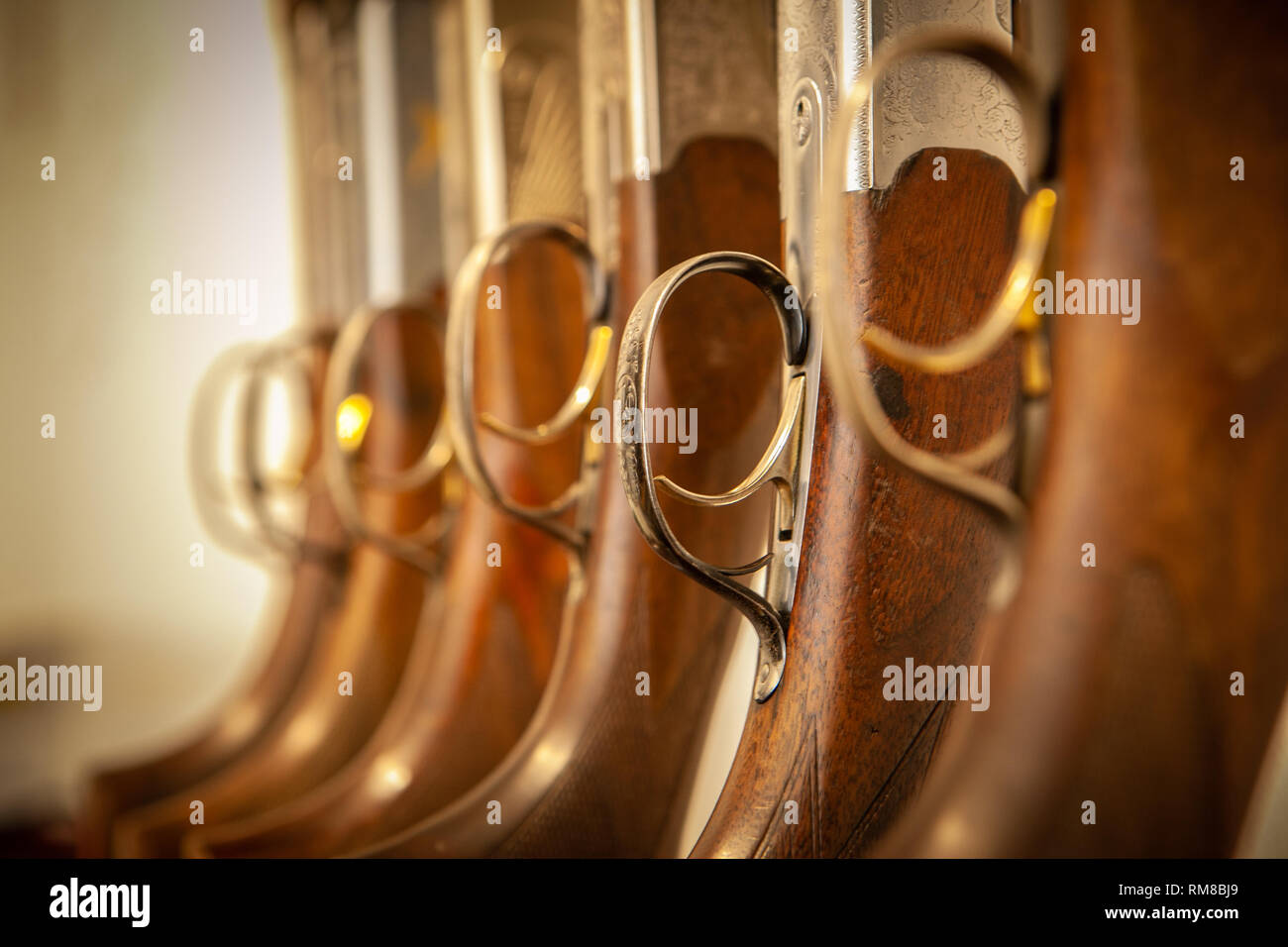 Shotgun sport shooting hi-res stock photography and images - Alamy