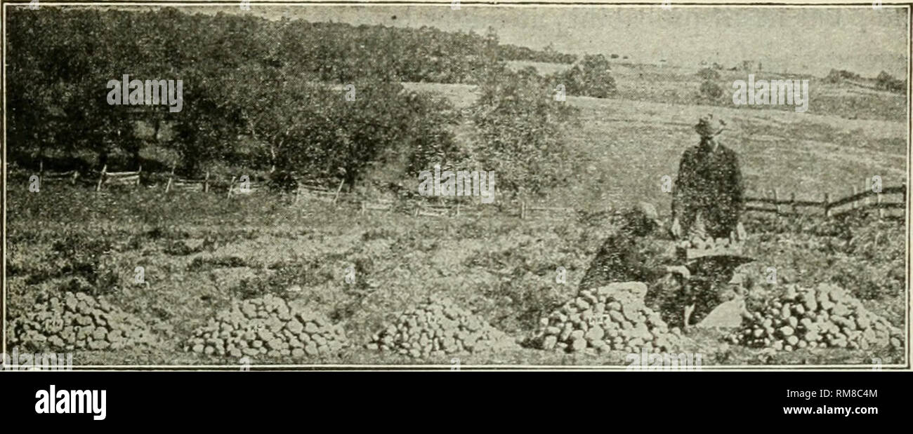 . Annual report of the Commissioner of Agriculture ... Agriculture ...