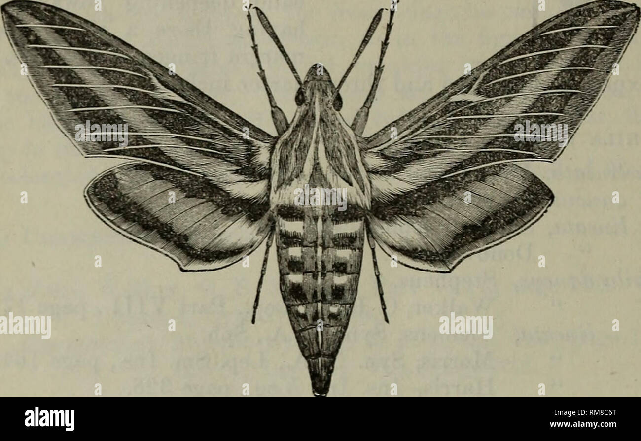 . Annual report - Entomological Society of Ontario. Entomological ...