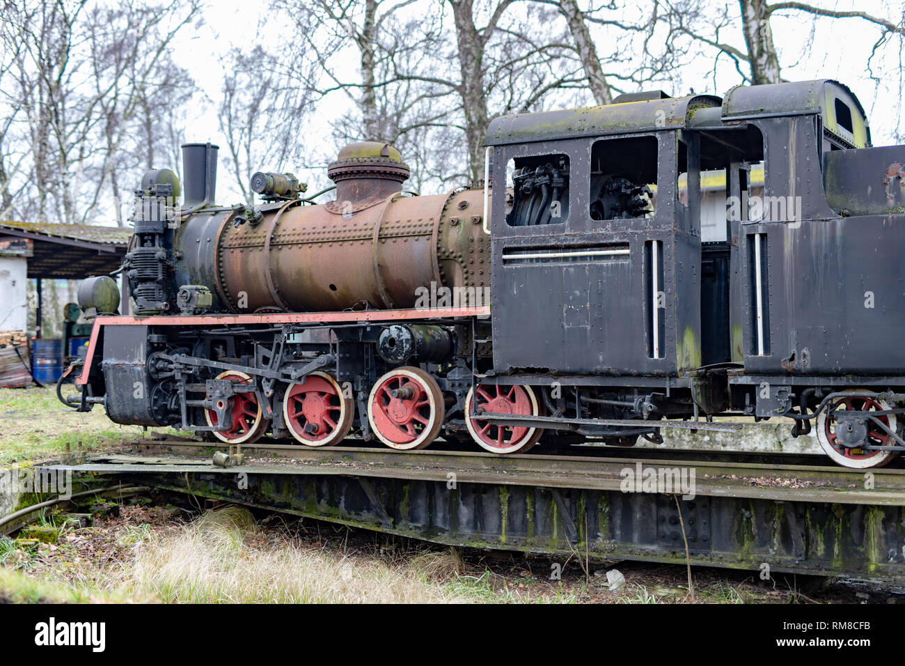 Narrow-gauge Locomotive Narrow-gauge Steam Locomotive