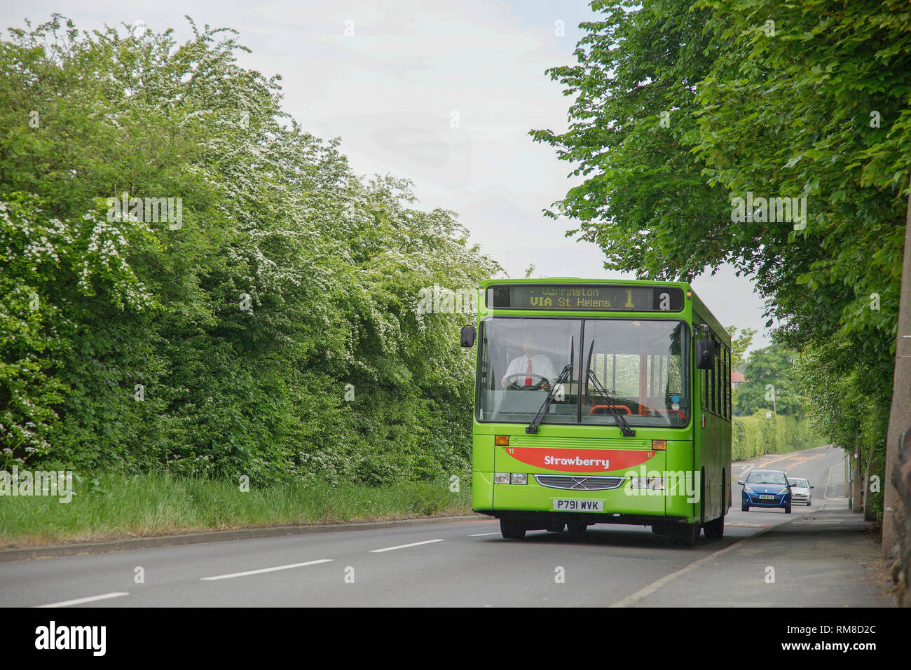 A Strawberry single decker bus in leafy country lane Stock Photo - Alamy