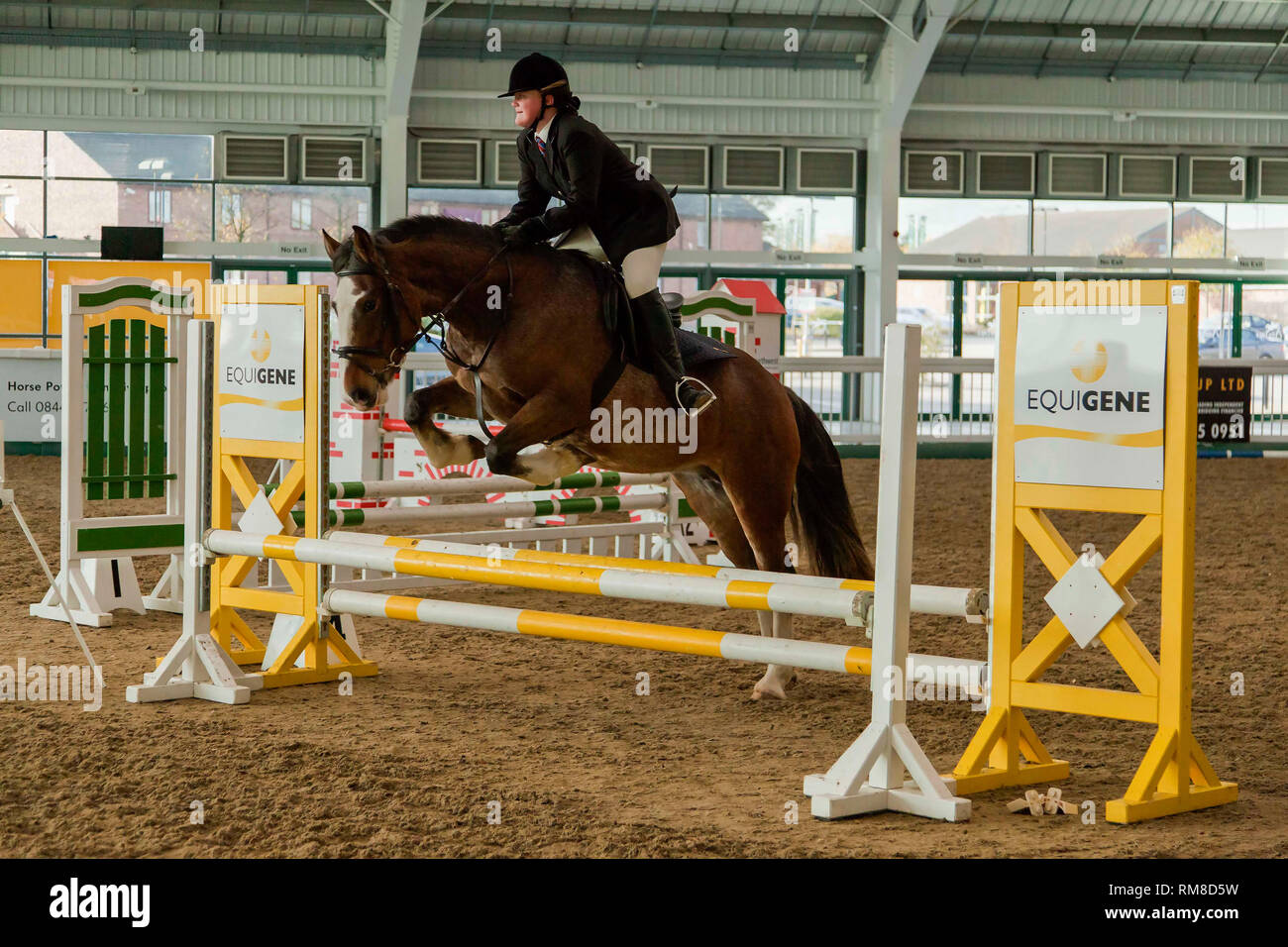 Horse jumpimg fence Stock Photo - Alamy