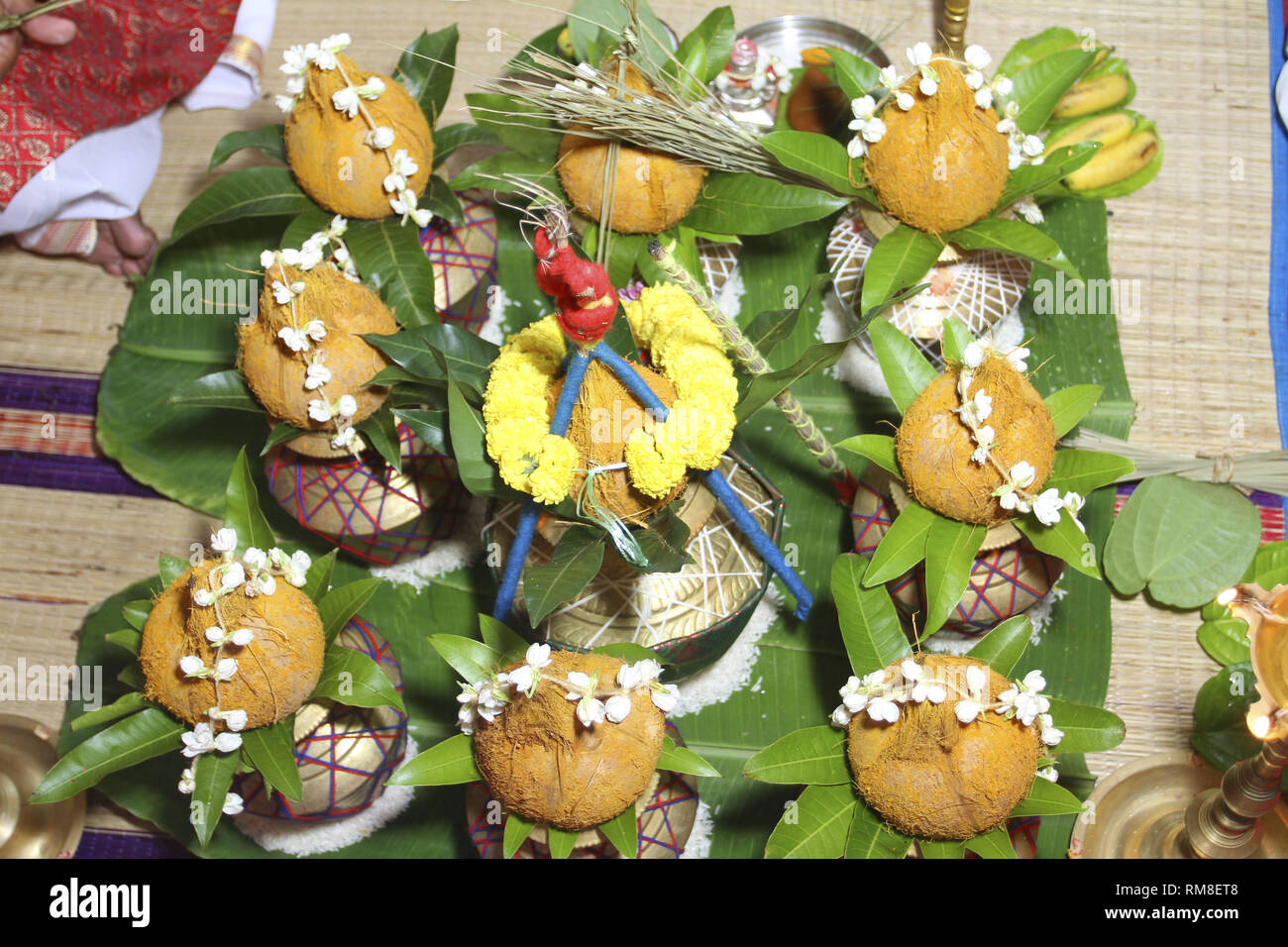 Nine coconuts for prayer Stock Photo - Alamy