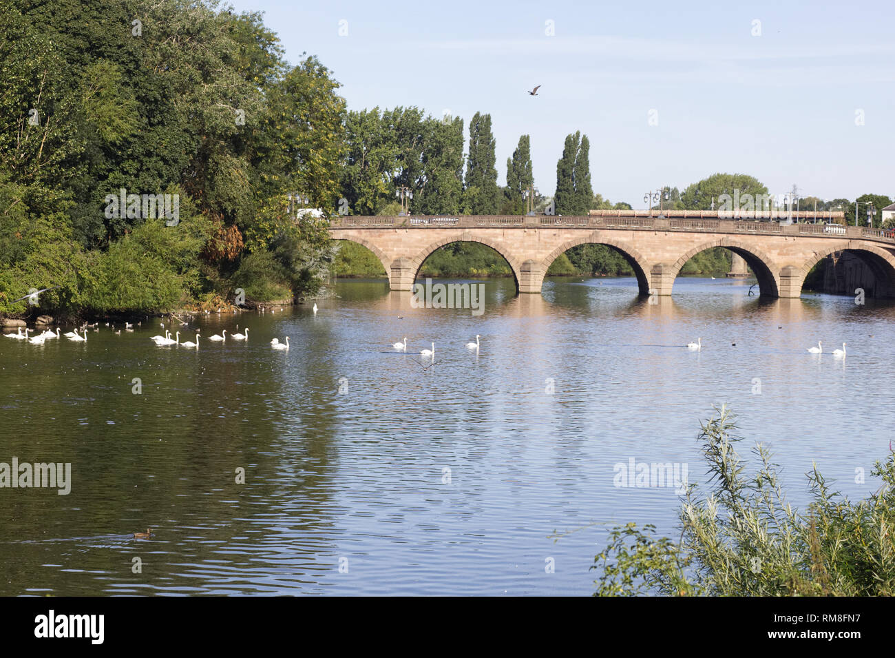 Worcester Bridge over the River Severn Stock Photo - Alamy