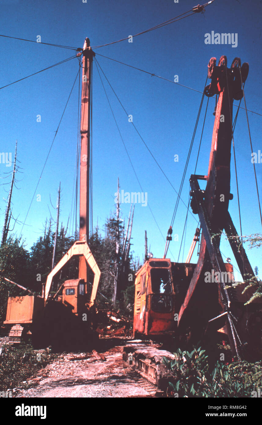 Lumber Swing Machine Stock Photo - Alamy