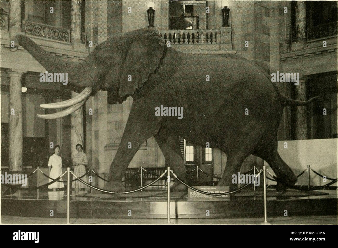 Shanidar 3 hi-res stock photography and images - Alamy